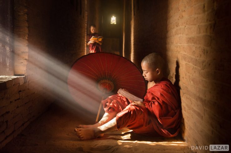 Monk Reading with Light Rays