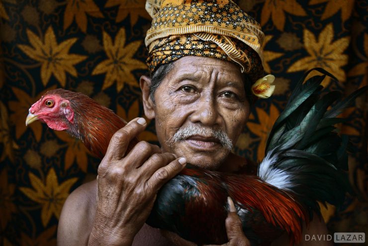 Balinese Man with Rooster 1